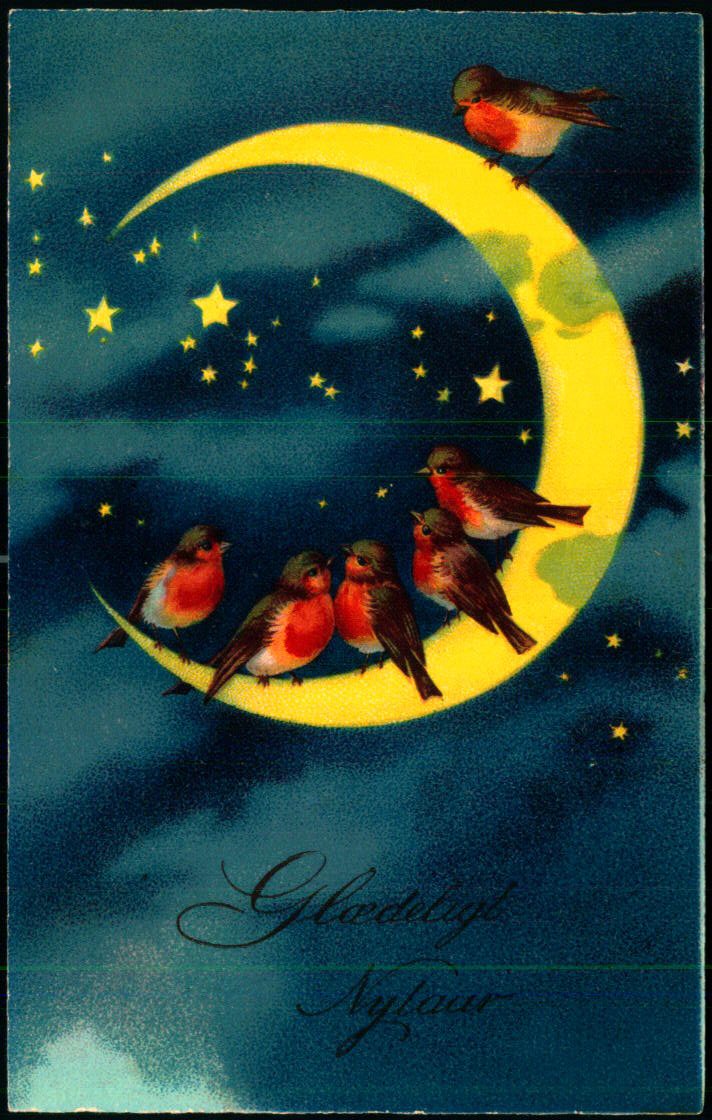 Glædeligt Nytaar - HWB Ser 2487 - Ubrugt - Nytårskort - Samlerhuset