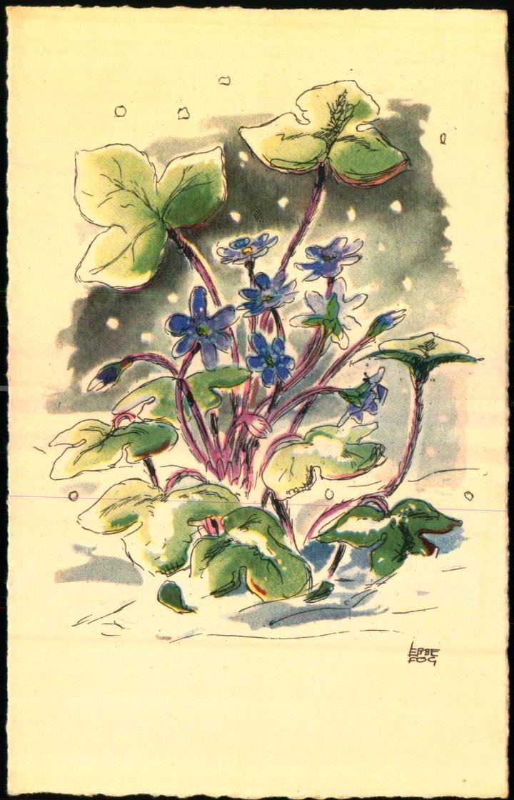 Ebbe Fog - K. Witt-Møller 3025 - Brugt - Fog, Ebbe - Samlerhuset