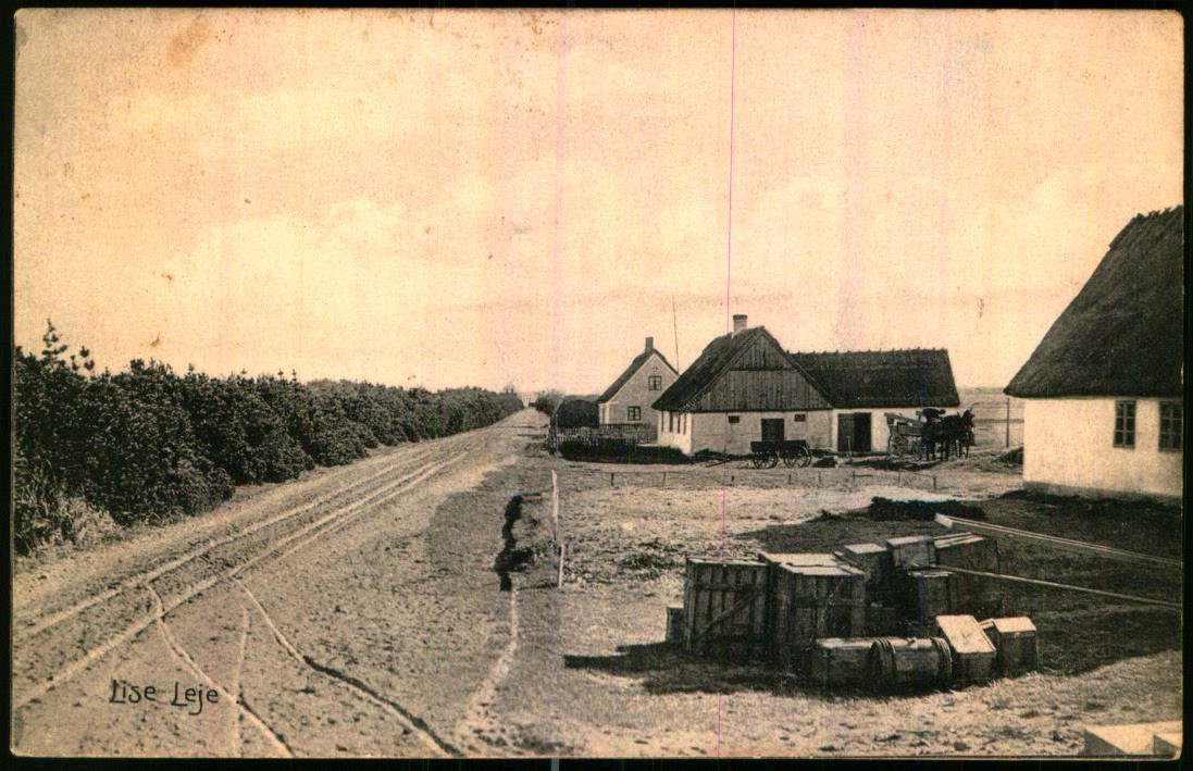 Lise leje - Albert Jensens Bogh. 8003 - Brugt - 3360 Liseleje - Samlerhuset