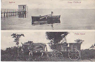 Prins Frederik og Prins Knud. J.J.N.4458 - Kong Frederik den 8. - 1906 ...